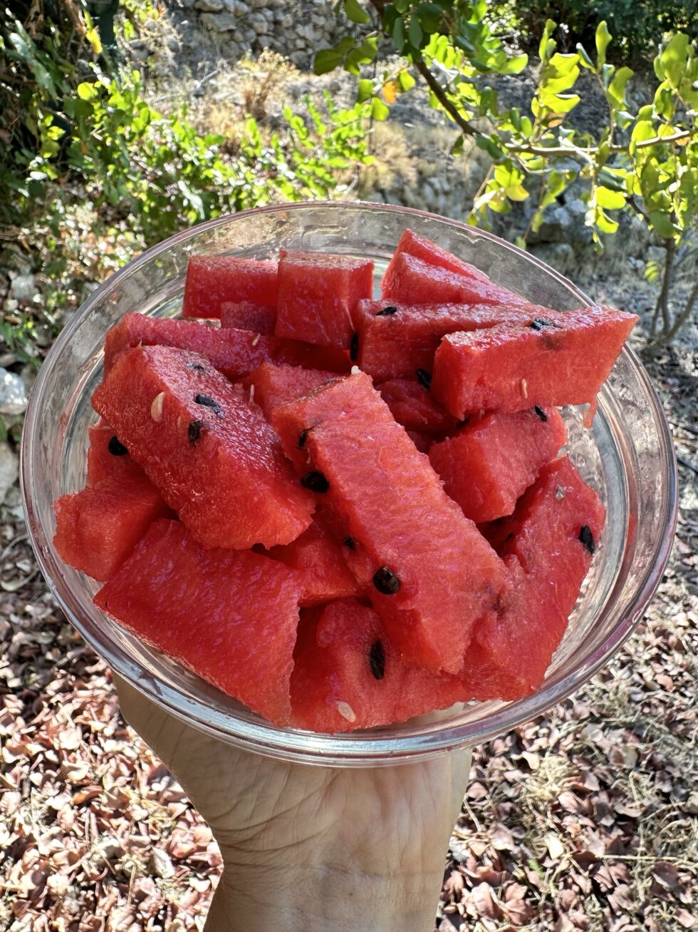 The Watermelon Controversy: Separating Myth from Reality in Food ...